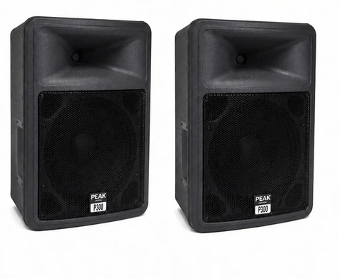 Hire - Citronic CAB12L 12" Speakers (pair) – AVFXsales